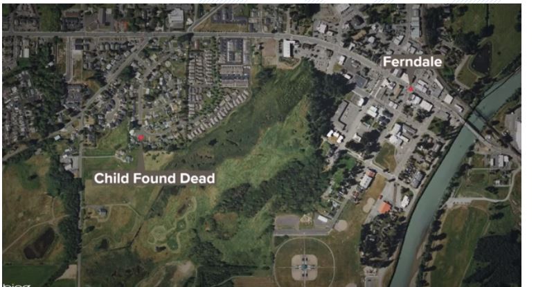 Opioid Crisis Friday: Ferndale parents charged for first-degree murder ...