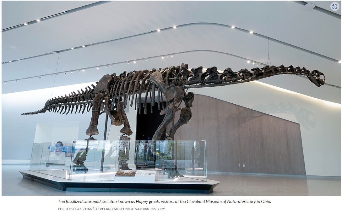 5 Notable Museums Opening in 2024 and Beyond – Vintage Dava